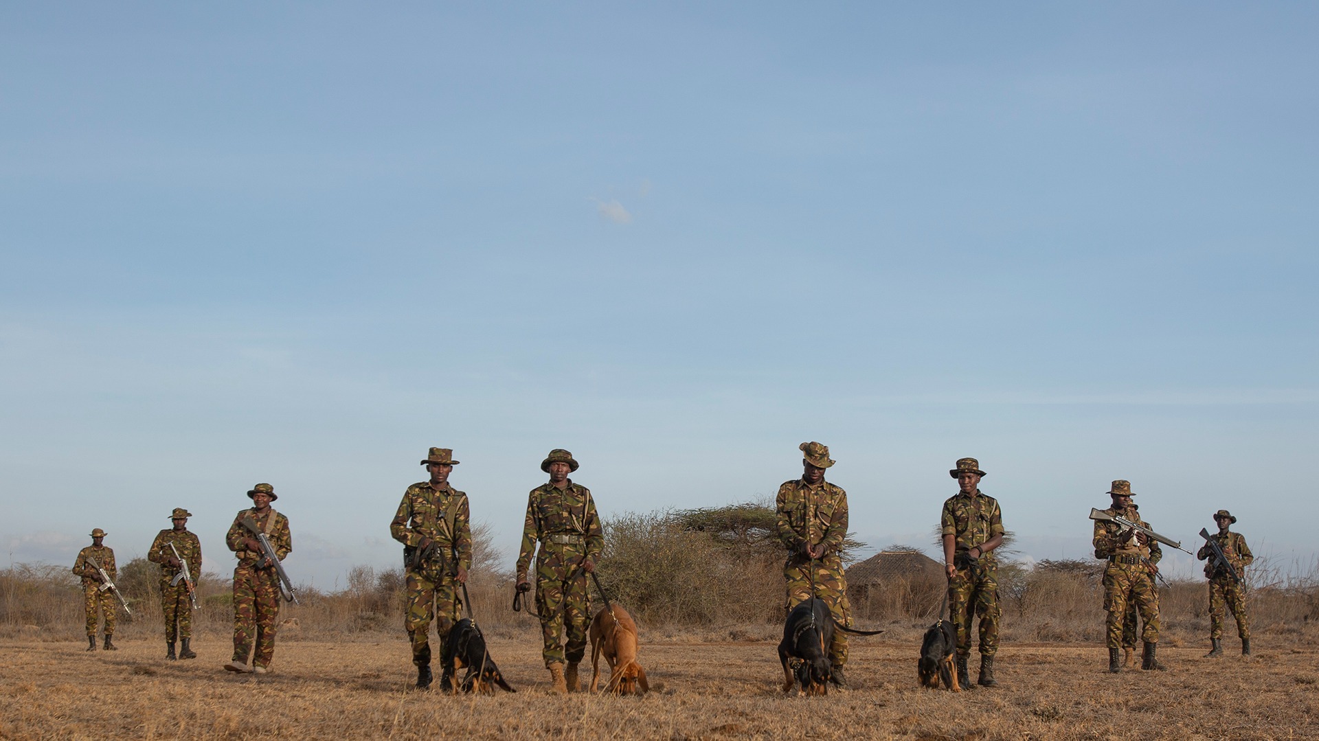 Lion Landscapes - Loisaba Conservancy - Wildlife Ranger Challenge 2023