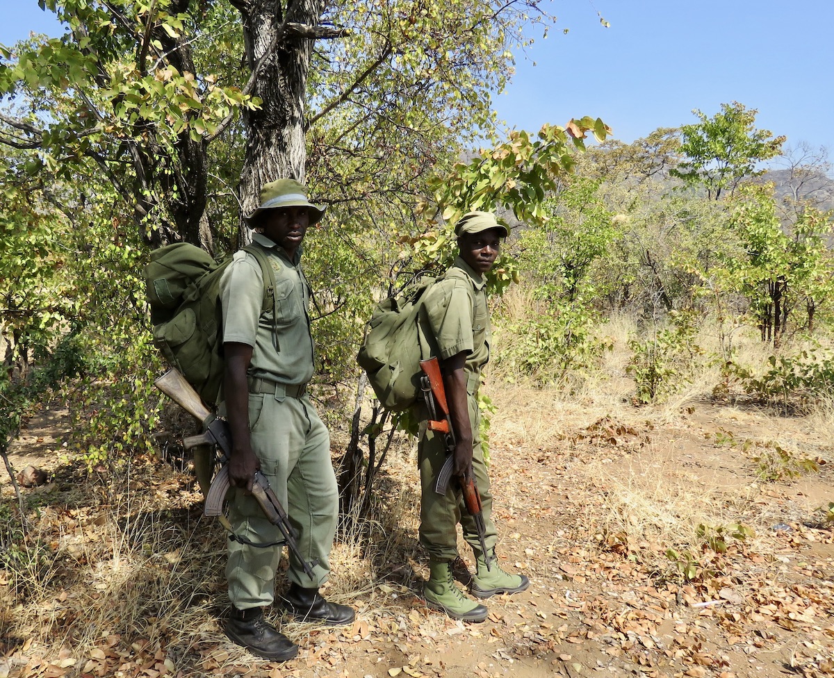 Tashinga Initiative - Wildlife Ranger Challenge 2023
