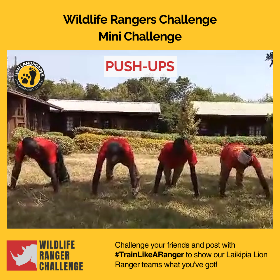 Lion Landscapes Team - Supporting and Training Lion Rangers across Laikipia