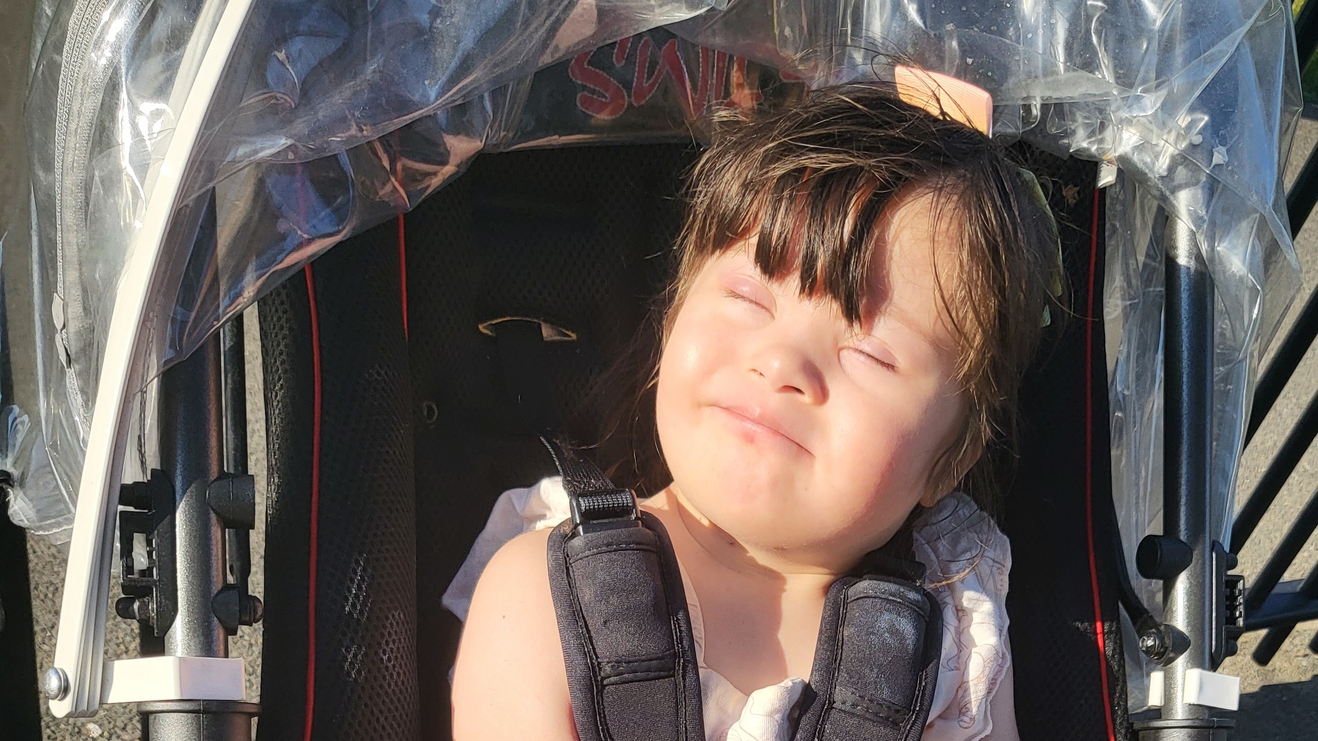 Great Big Walk for Herts